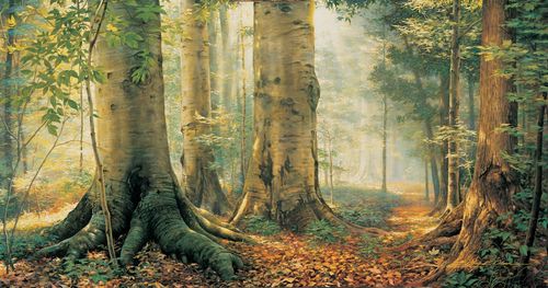 January 4–10. Joseph Smith—History 1:1–26: “I Saw a Pillar of Light”