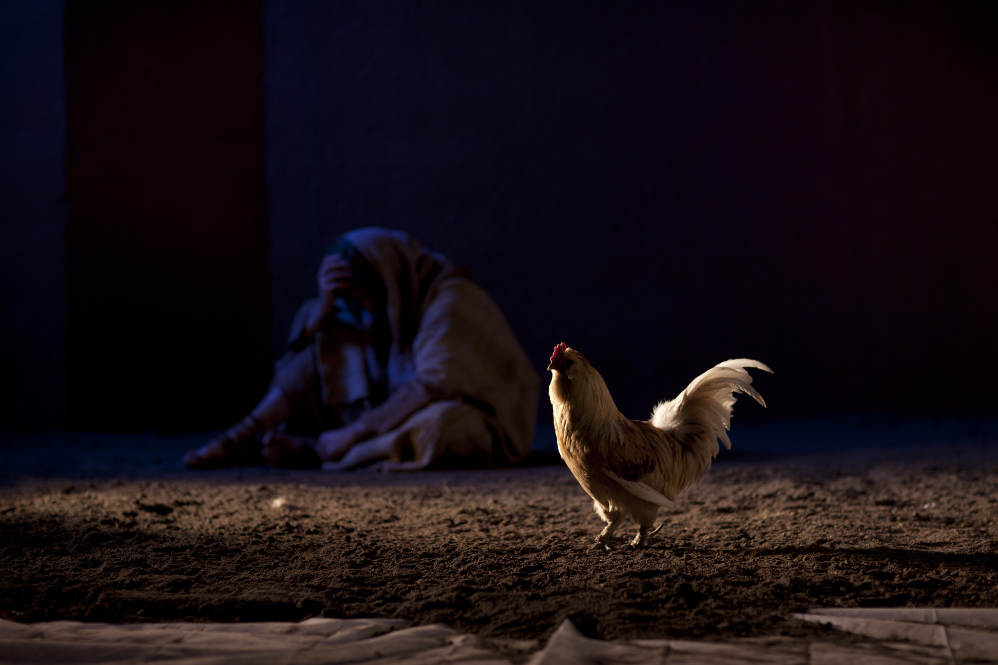 Peter after Denying Christ