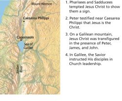 New Testament Teacher Manual