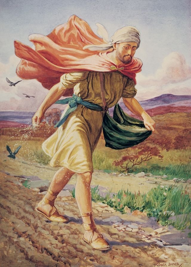 The Sower