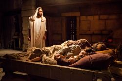 Nativity—Bible Images