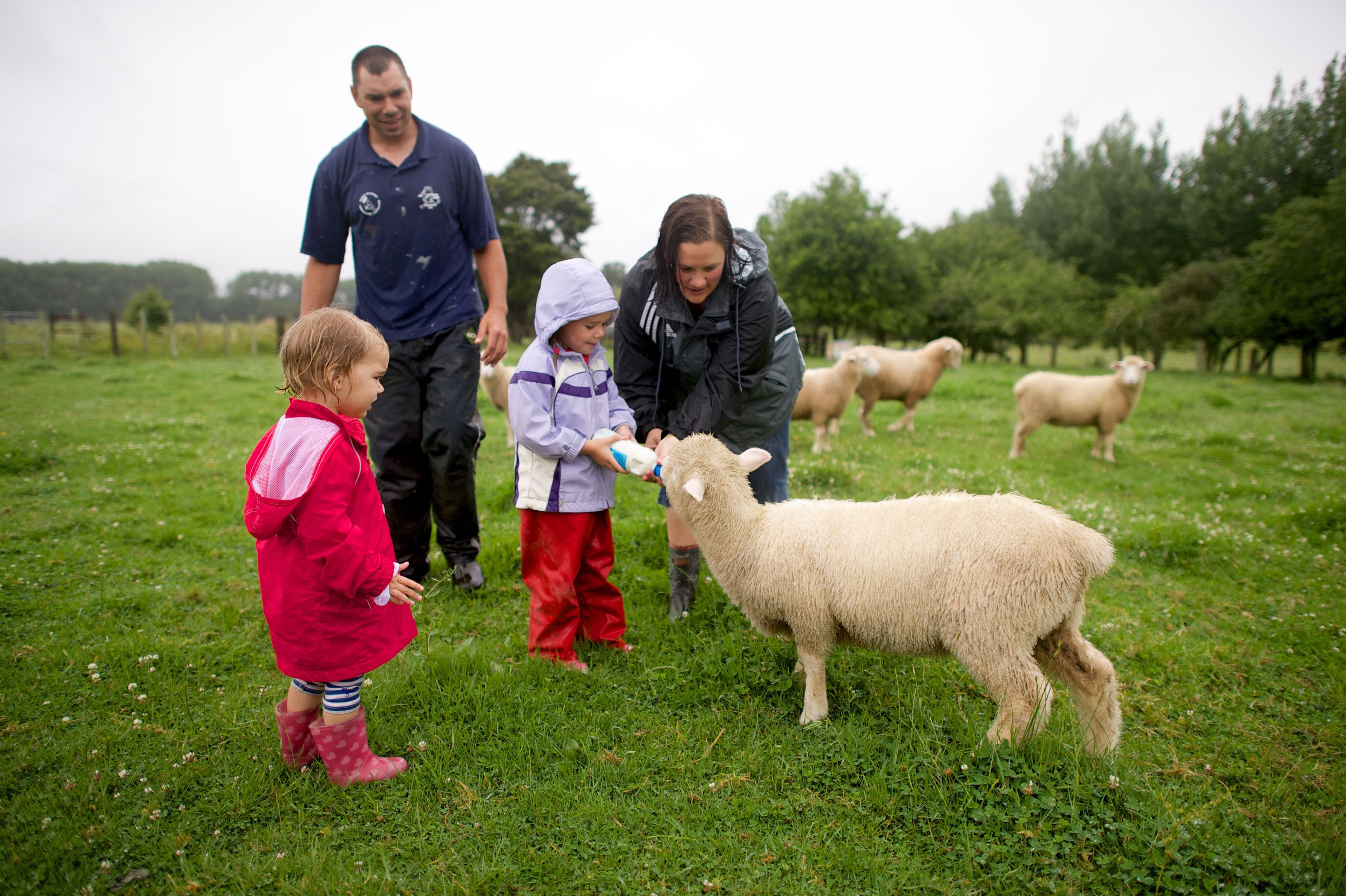 Family in New Zealand