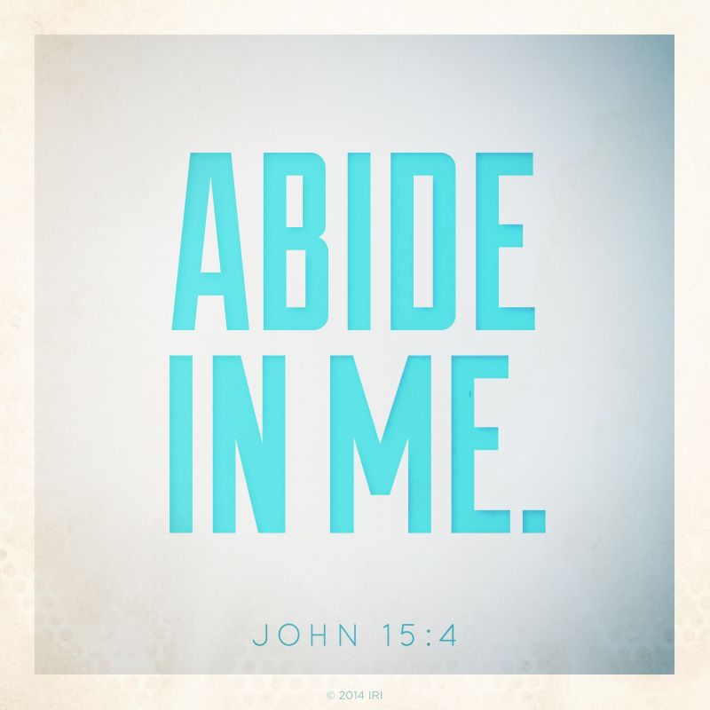 Abide