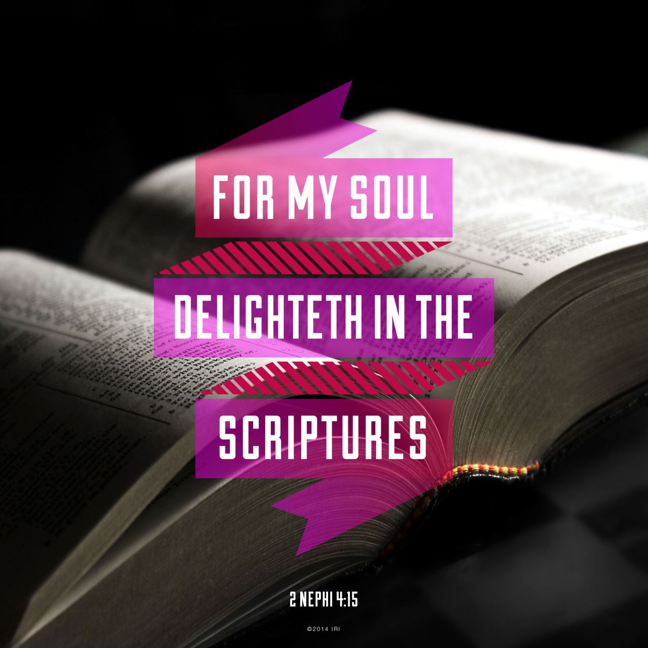 Delight in the Scriptures