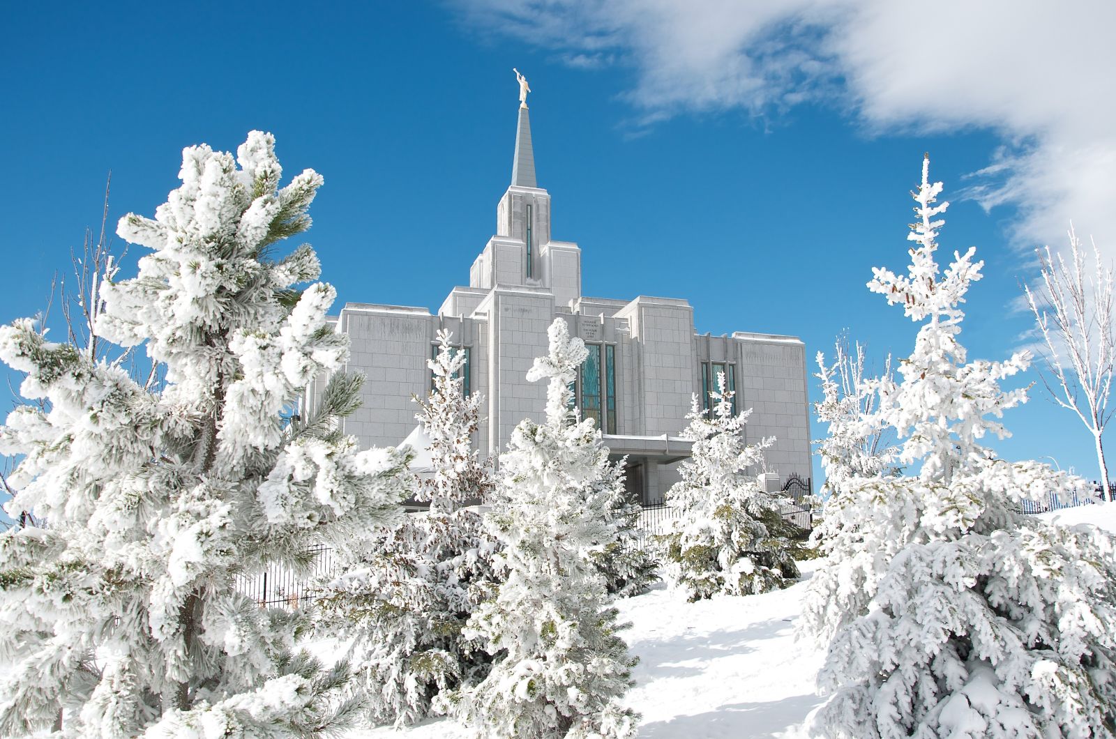 The Calgary Alberta Temple in the Winter