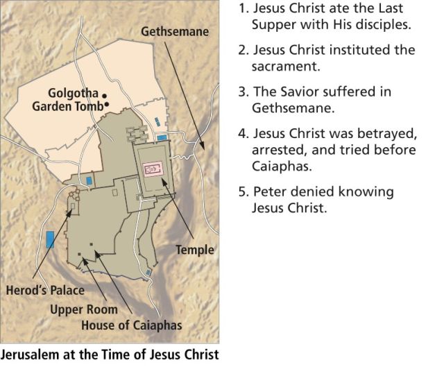 New Testament Teacher Manual