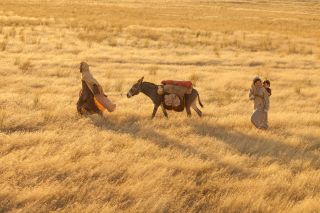 Nativity—Bible Images