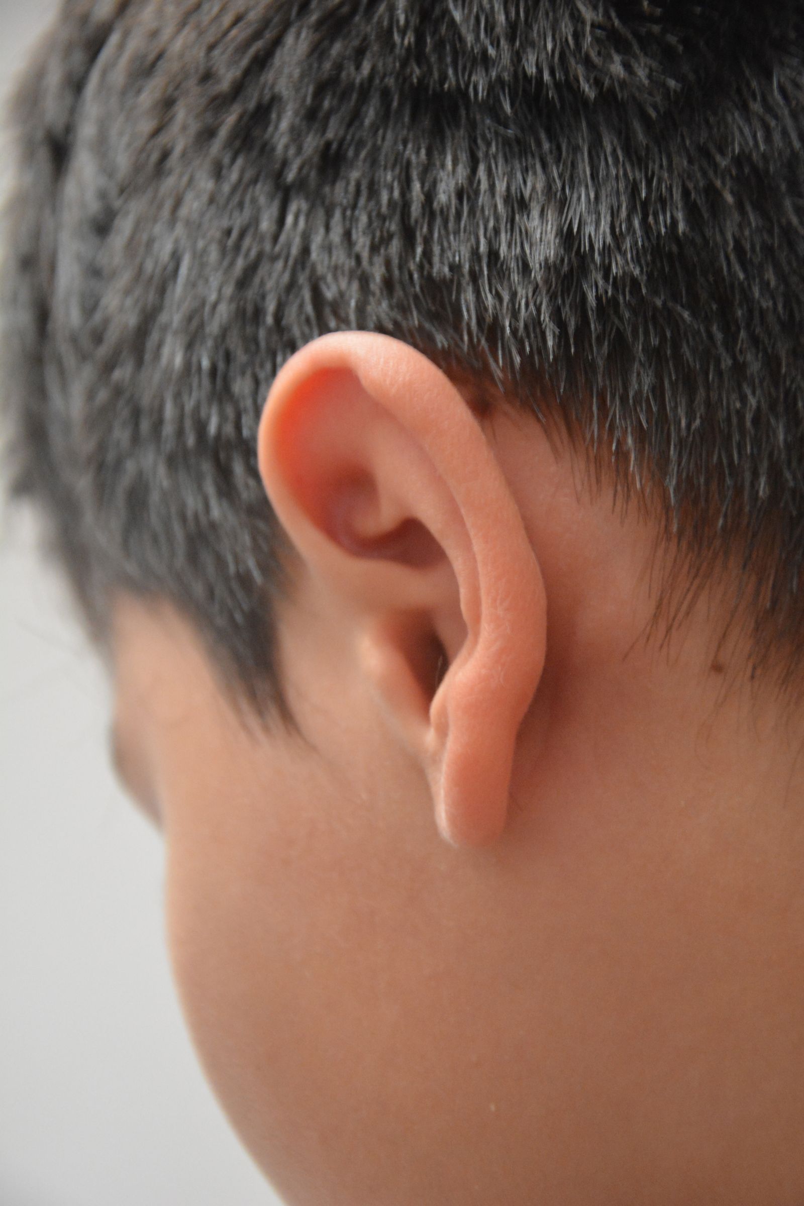 Ear