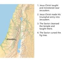 New Testament Teacher Manual